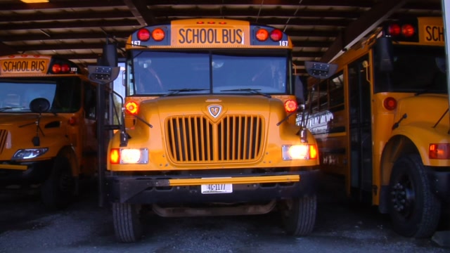 School Buses Stock Footage: Royalty-Free Video Clips - Storyblocks