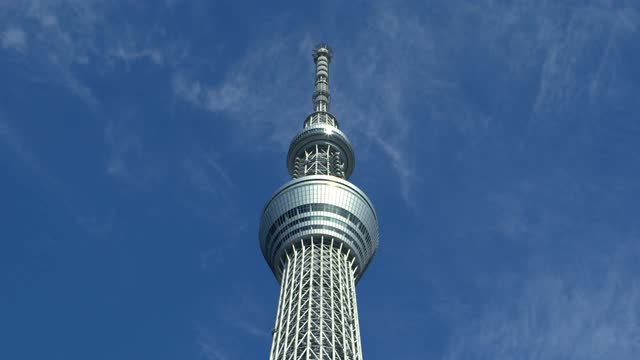 Sydney Tower Stock Footage: Royalty-Free Video Clips - Storyblocks