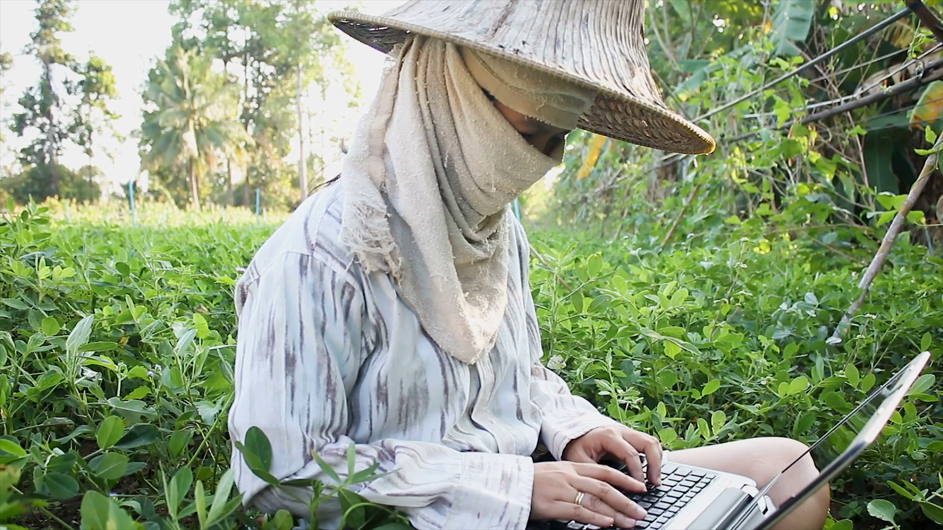 4 K Farmer Using Laptop Computer In Farm Stock Footage SBV-319681528 ...