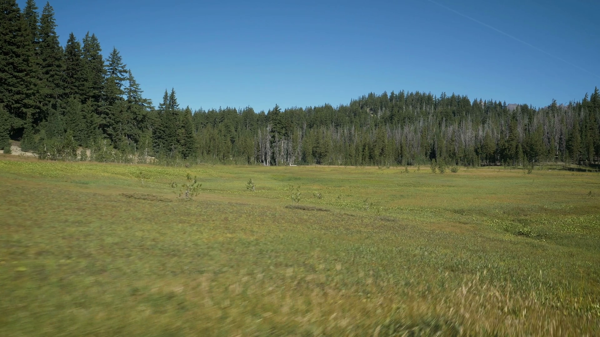 Meadow Aerial