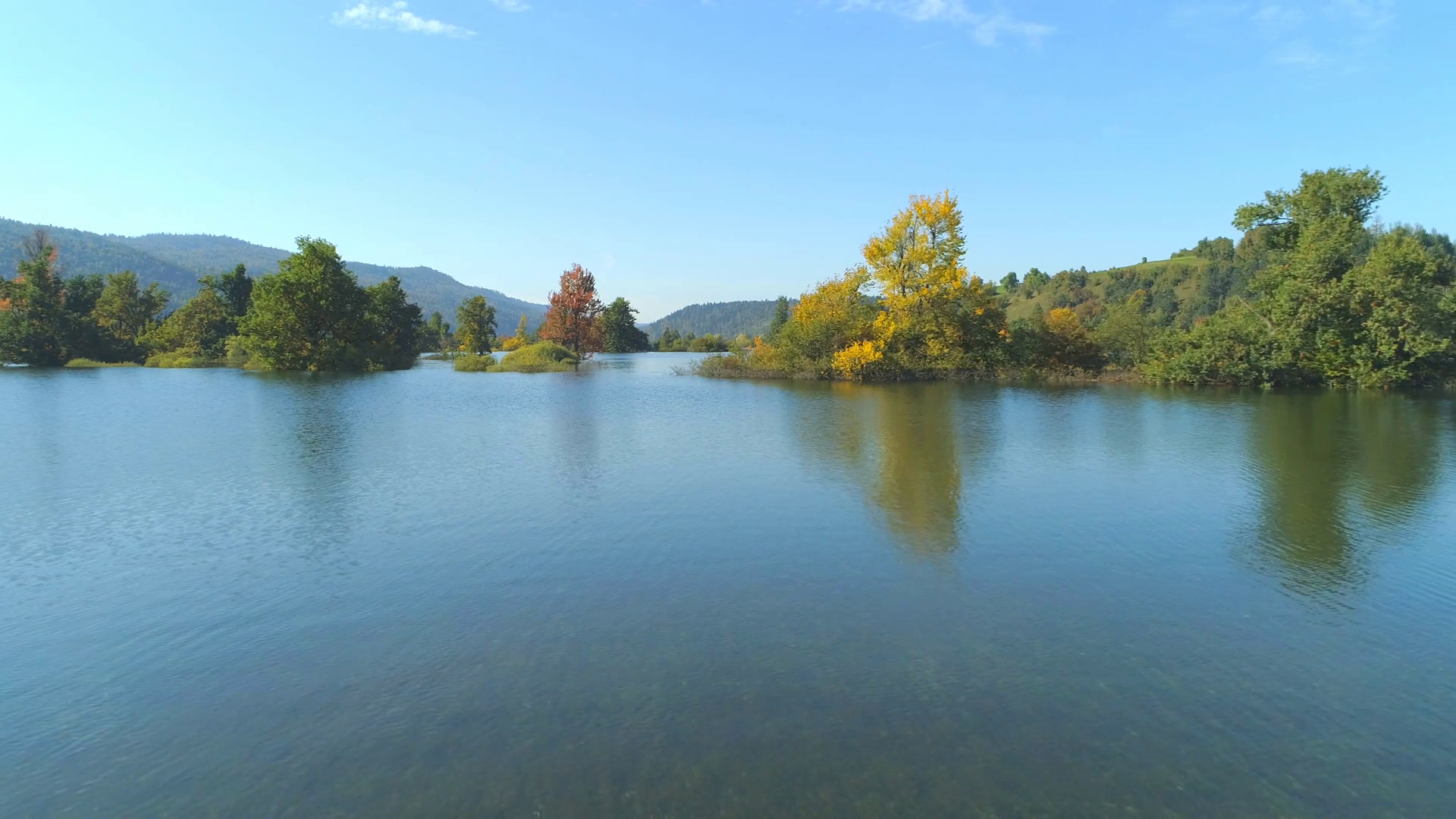 Aerial Flooded Nature With Treetops Bushes Stock Footage SBV-319404842 ...