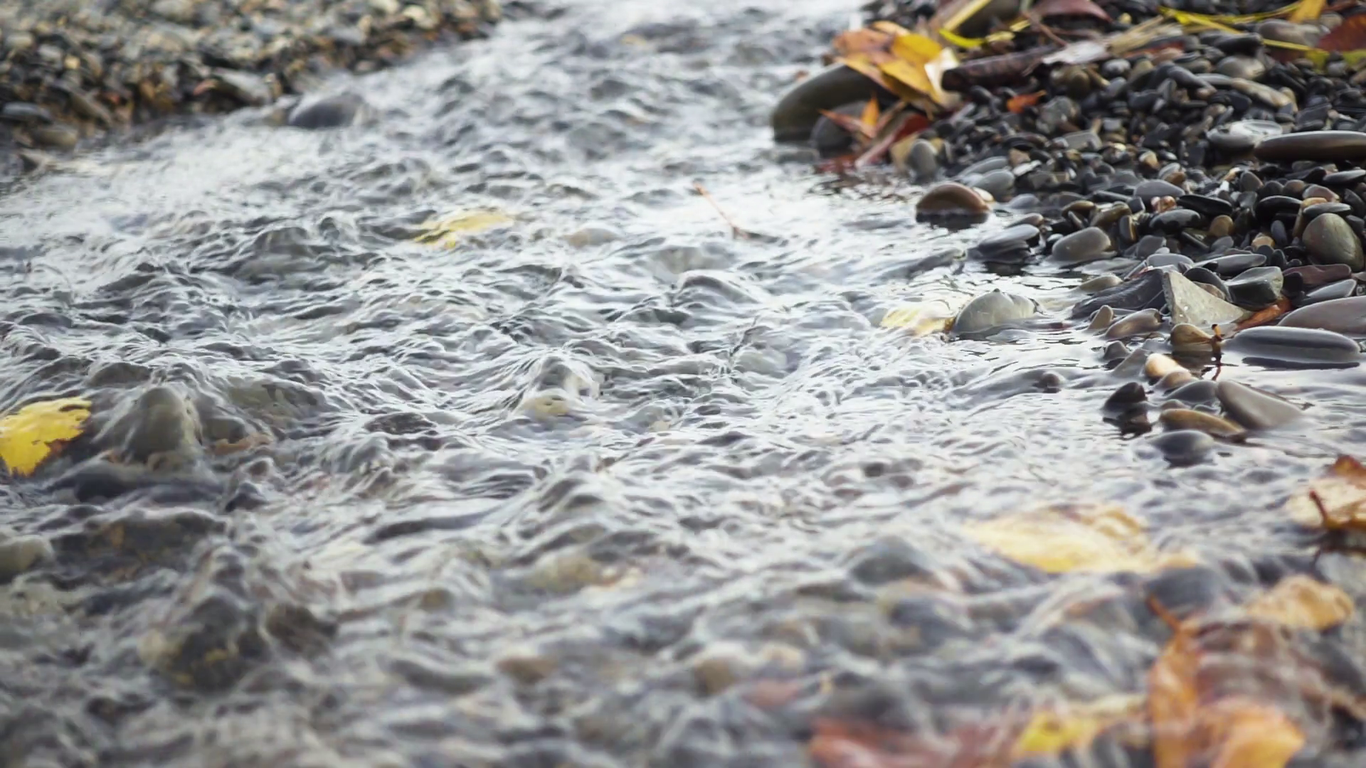 Gorgeous Stream In Slow Motion Flows To Stock Footage SBV-319112861 ...