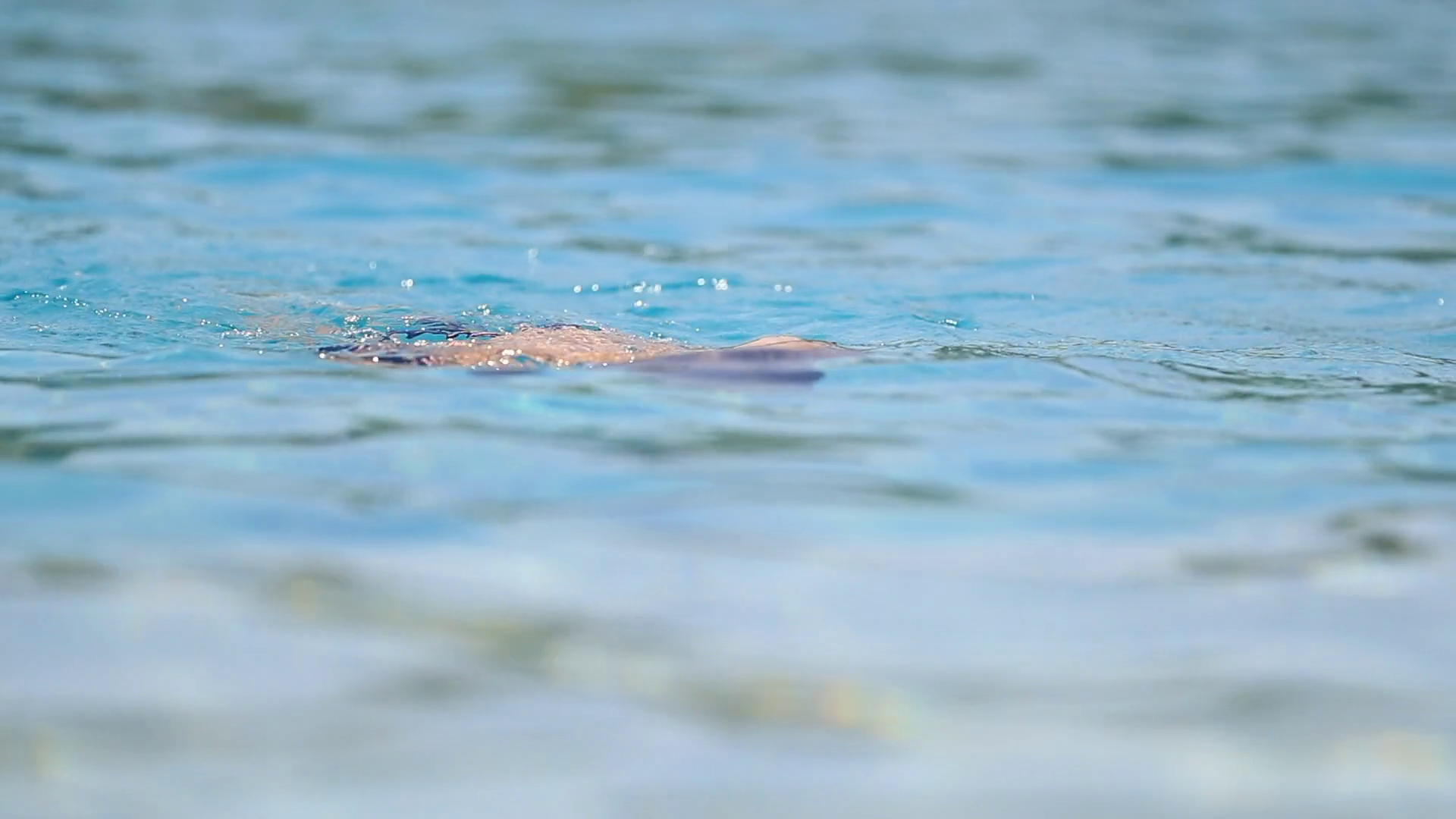 Child Swimming In Slow Motion: Beautiful Stock Footage SBV-319105528 ...