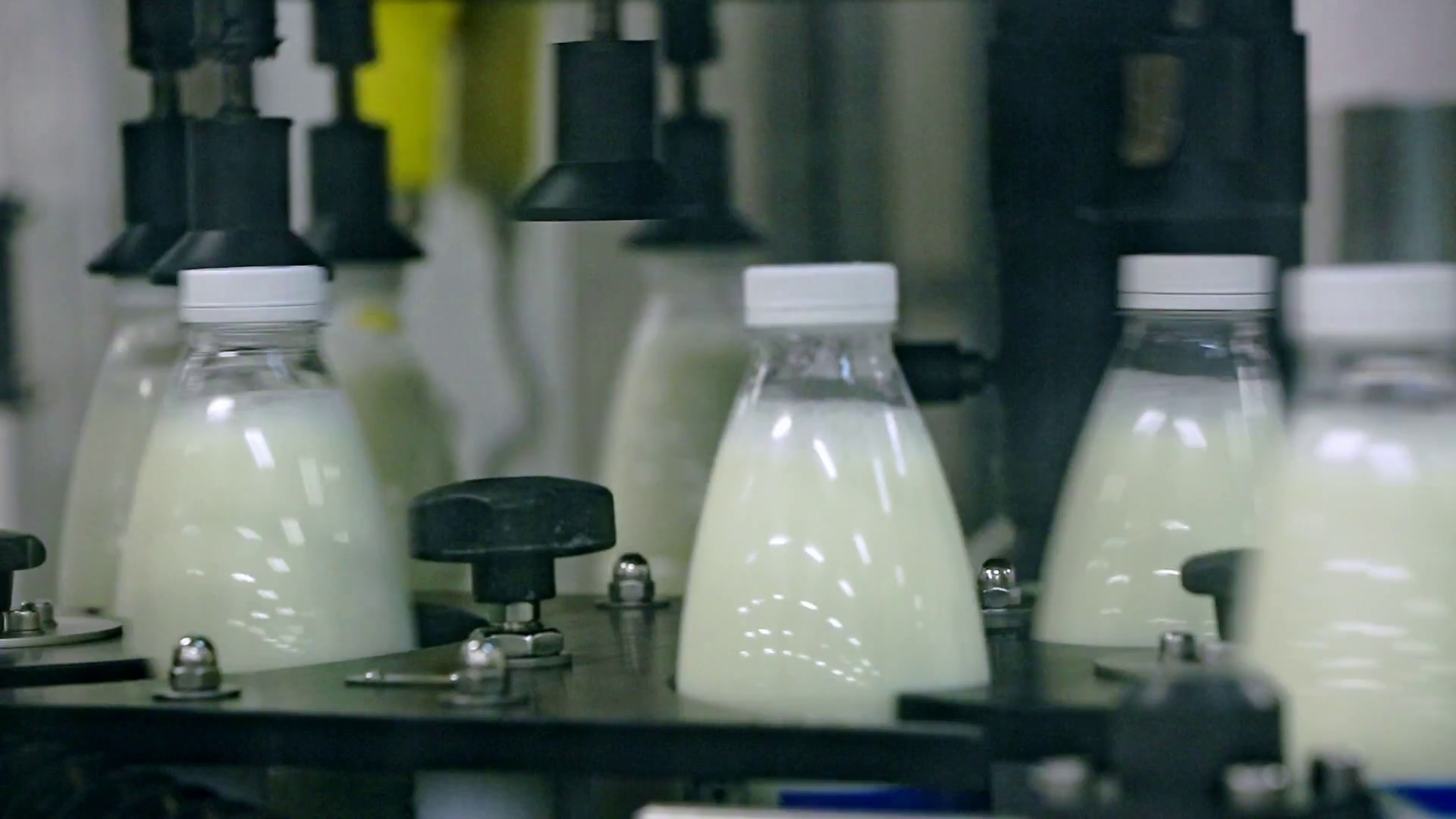 Dairy Production Line Milk In Bottles On Stock Footage SBV-318432842 ...