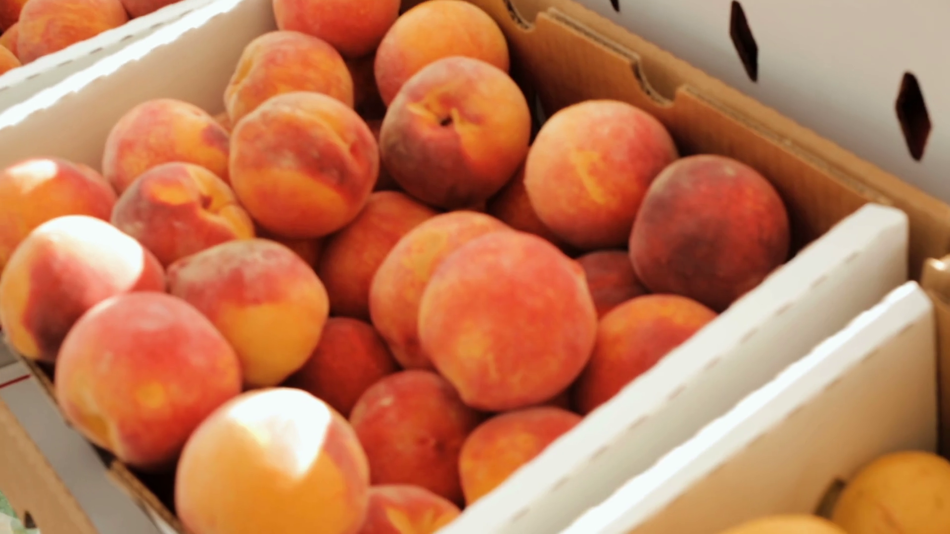 Fresh Organic Peaches At Local Farmer's Stock Footage SBV-317526006 ...