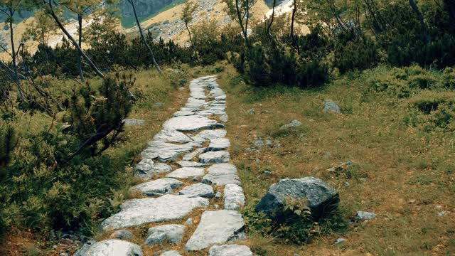 Tiled Path Stock Footage: Royalty-Free Video Clips - Storyblocks