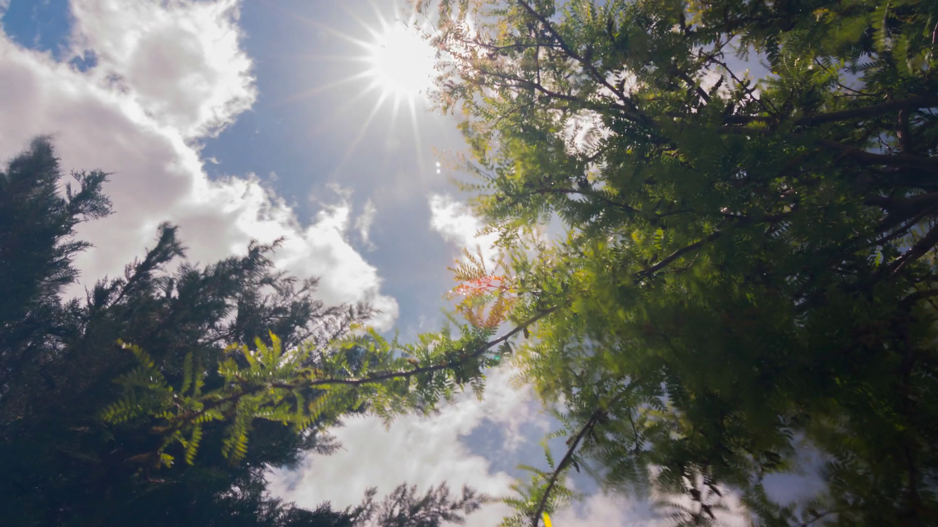 Rotating Sky Timelapse Stock Footage SBV-315961509 - Storyblocks