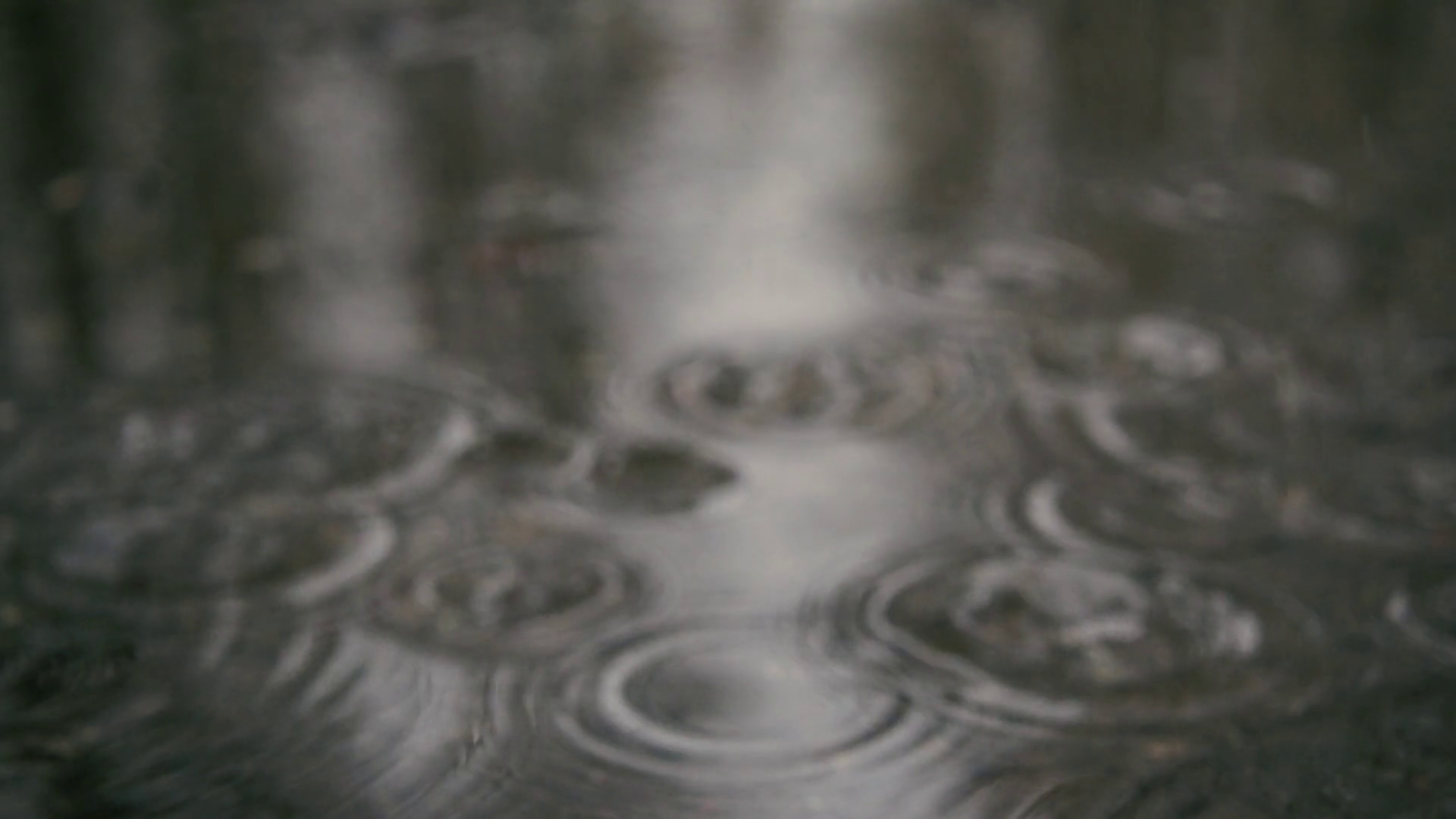 Slow Motion Blurry Drops Of Heavy Rain In Stock Footage SBV-315079224 ...