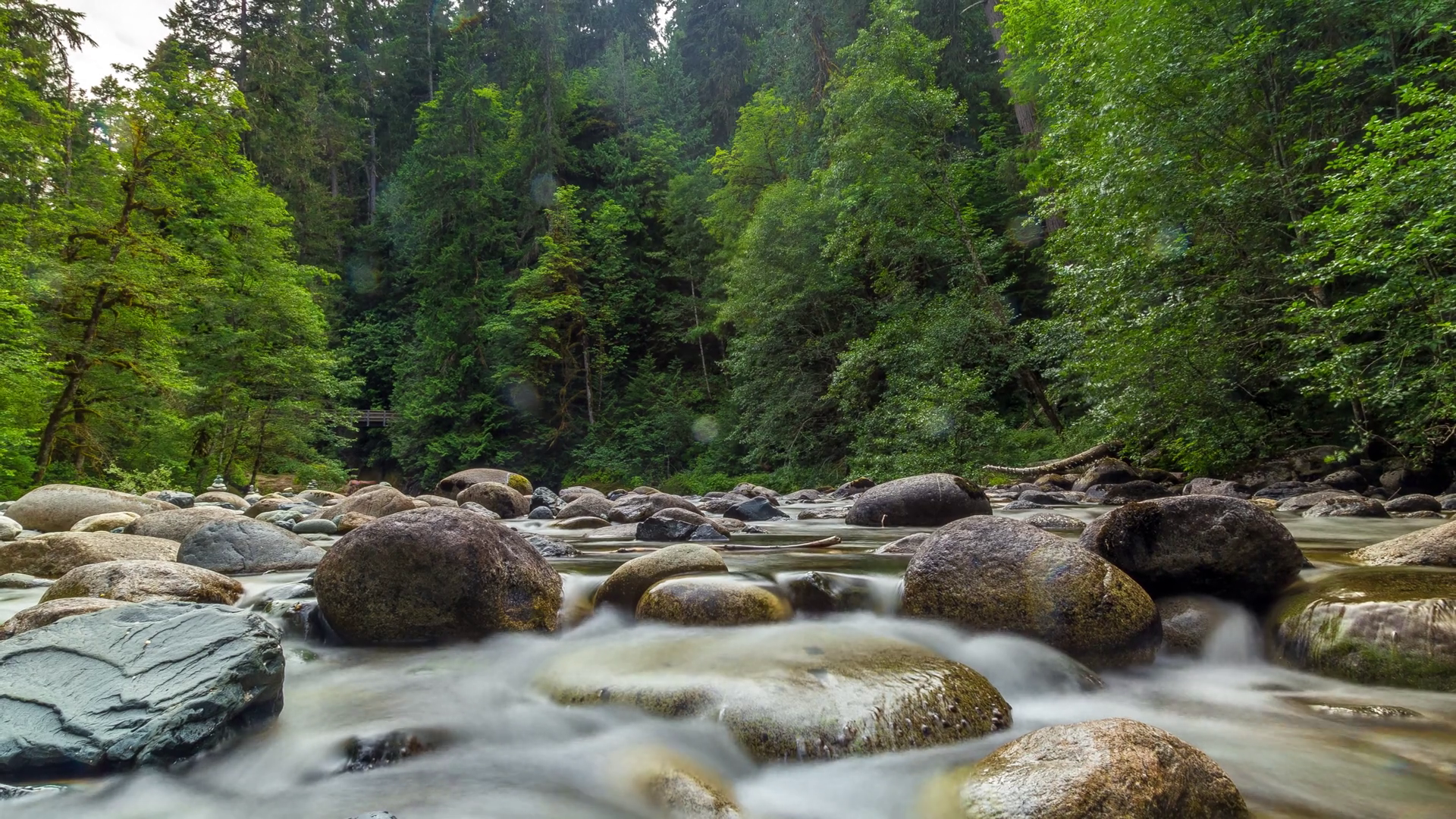 Timelapse River Forest Canada British Stock Footage SBV-315499590 ...