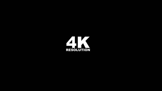 Royalty-Free 4k Templates - Storyblocks