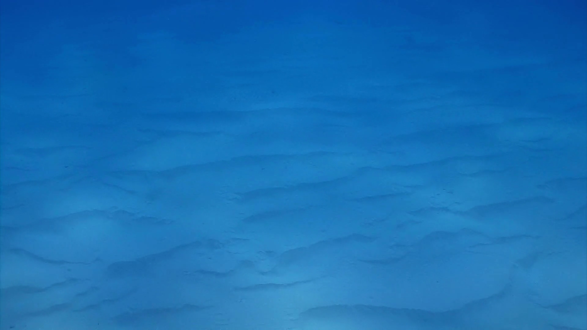 Water Ripples Over Sand Seabed Stock Footage SBV-300105720 - Storyblocks
