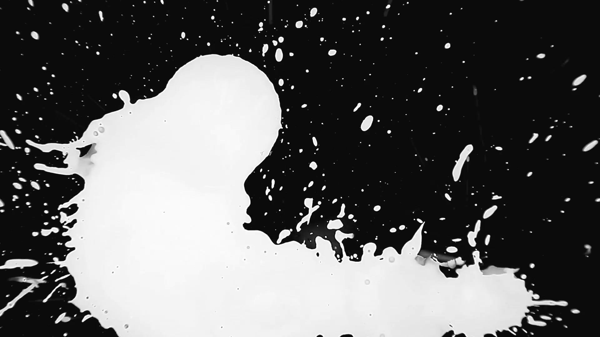 White Splat Transition 1 Stock Footage SBV-300075646 - Storyblocks