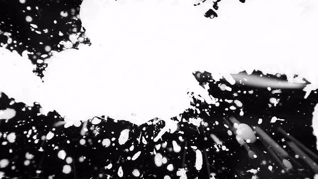 Paint With Alpha Stock Footage: Royalty-Free Video Clips - Storyblocks