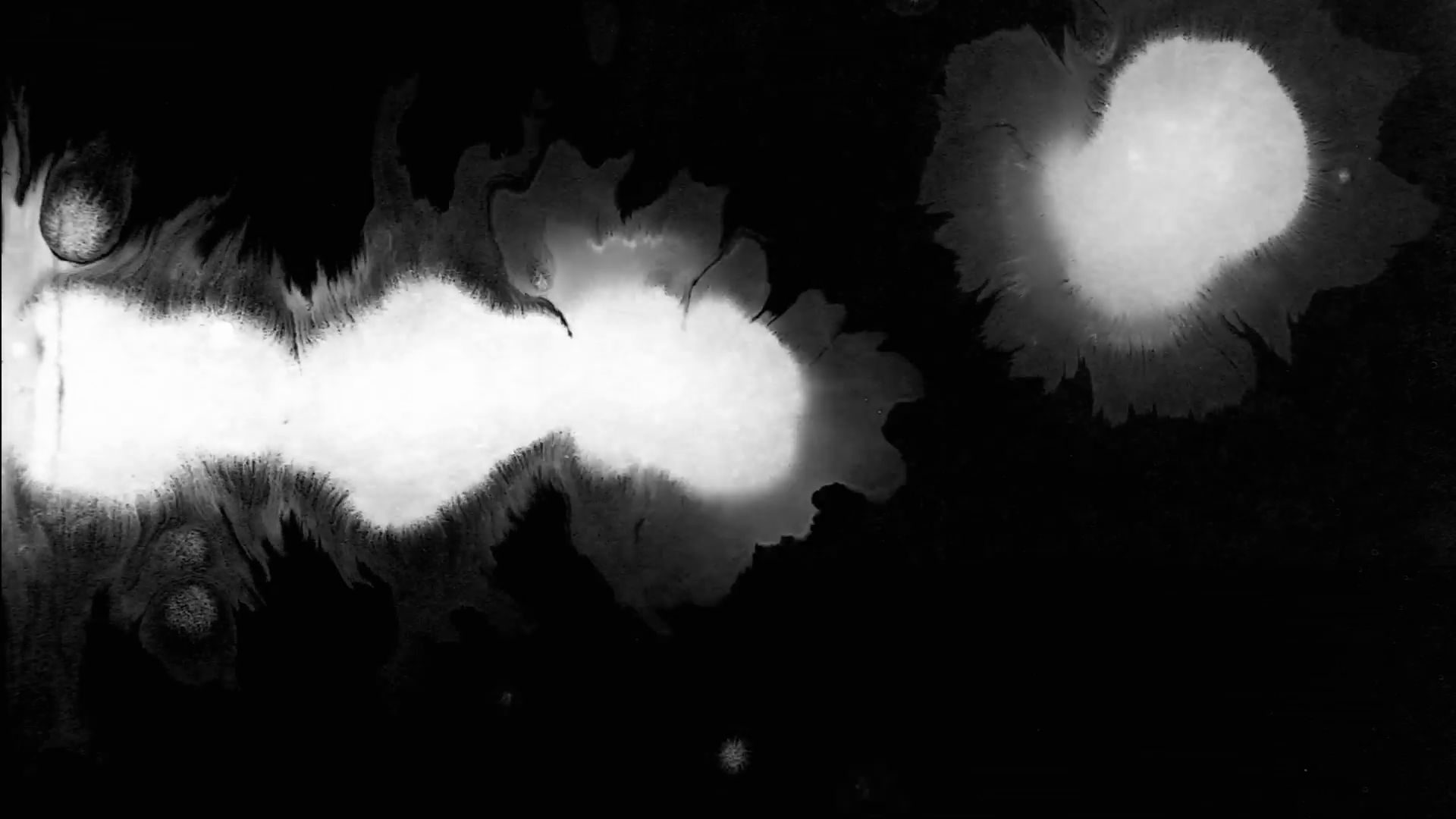 White Splat Transition 8 Stock Footage SBV-300075611 - Storyblocks