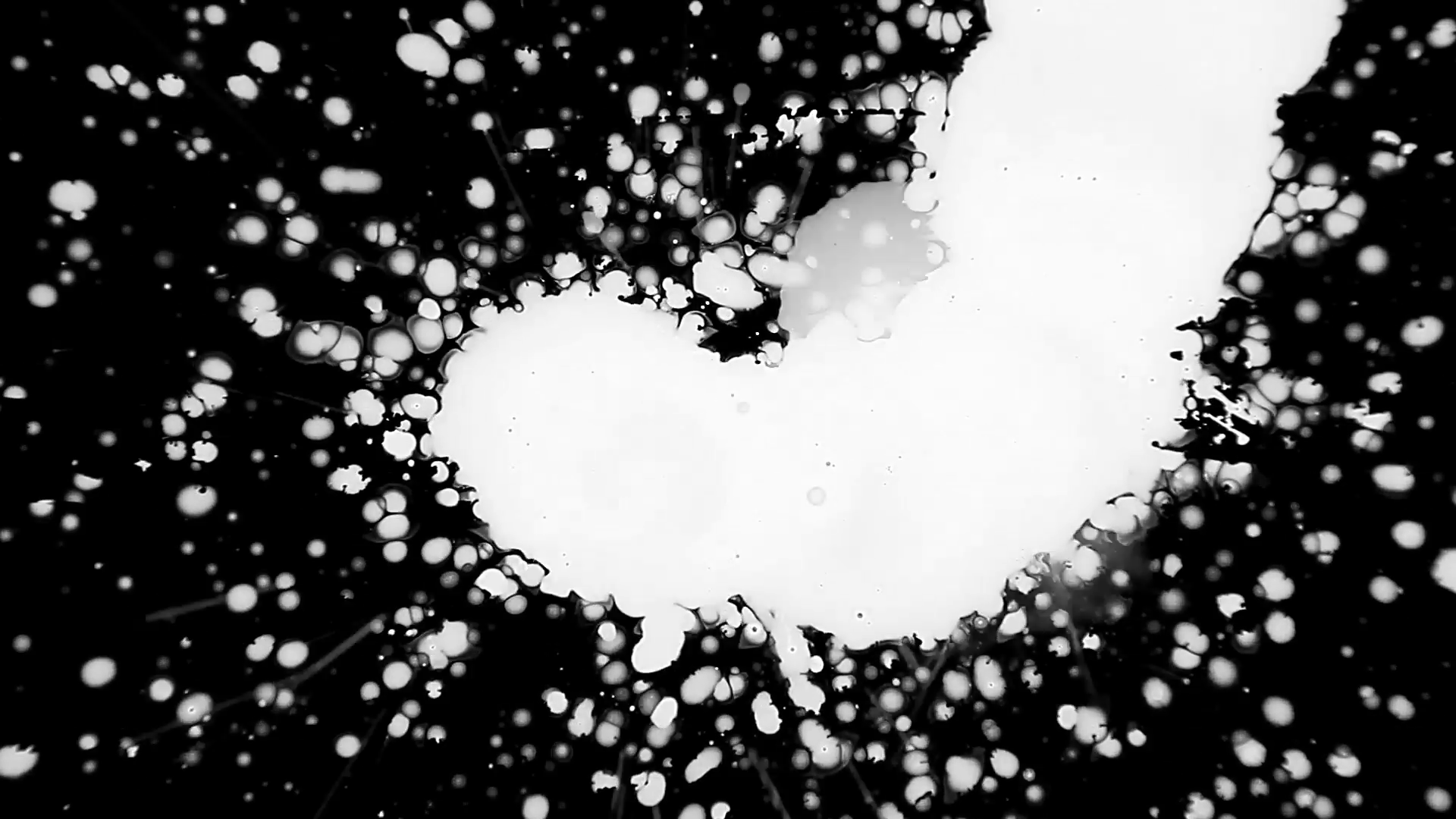 White Splat Transition 9 Stock Footage SBV-300075528 - Storyblocks