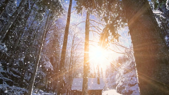 Stock Footage: Royalty-Free Video Clips - Page 3 - Storyblocks