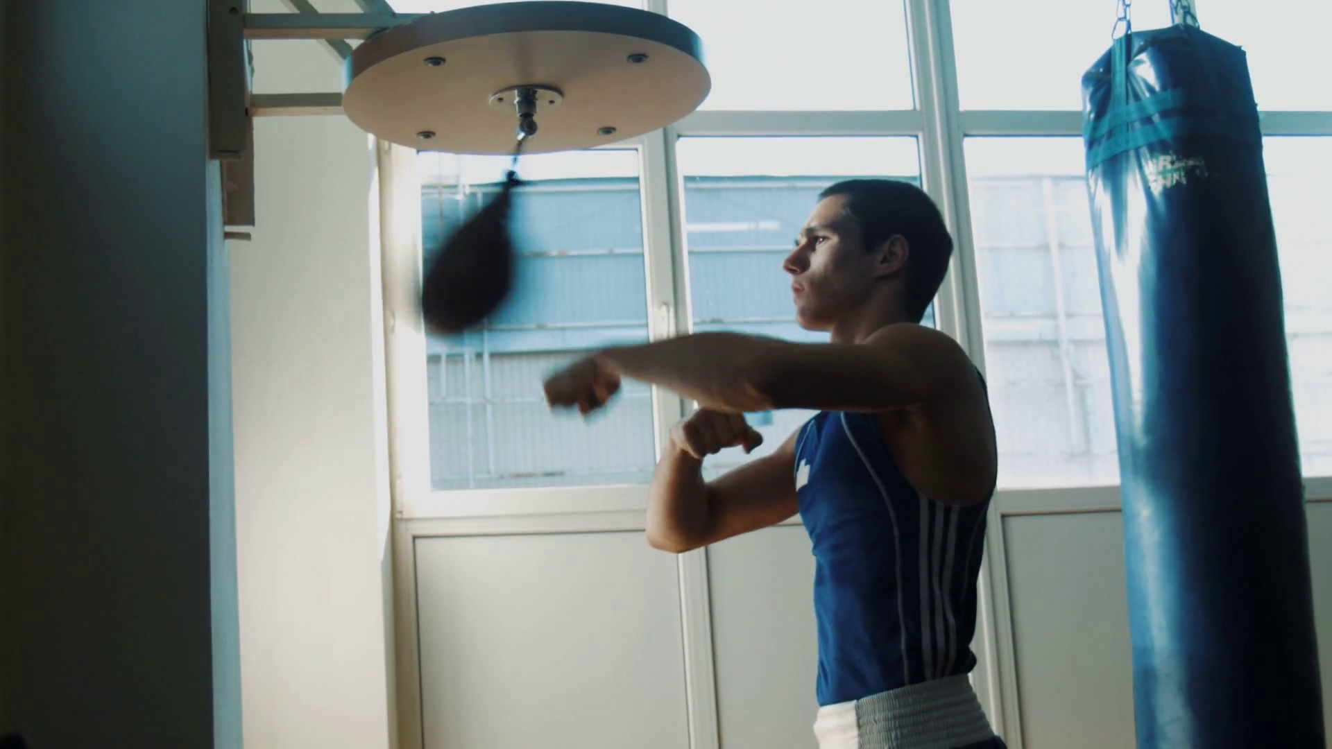 Youthful Athletes Practicing Boxing Stock Footage SBV-304455684 ...