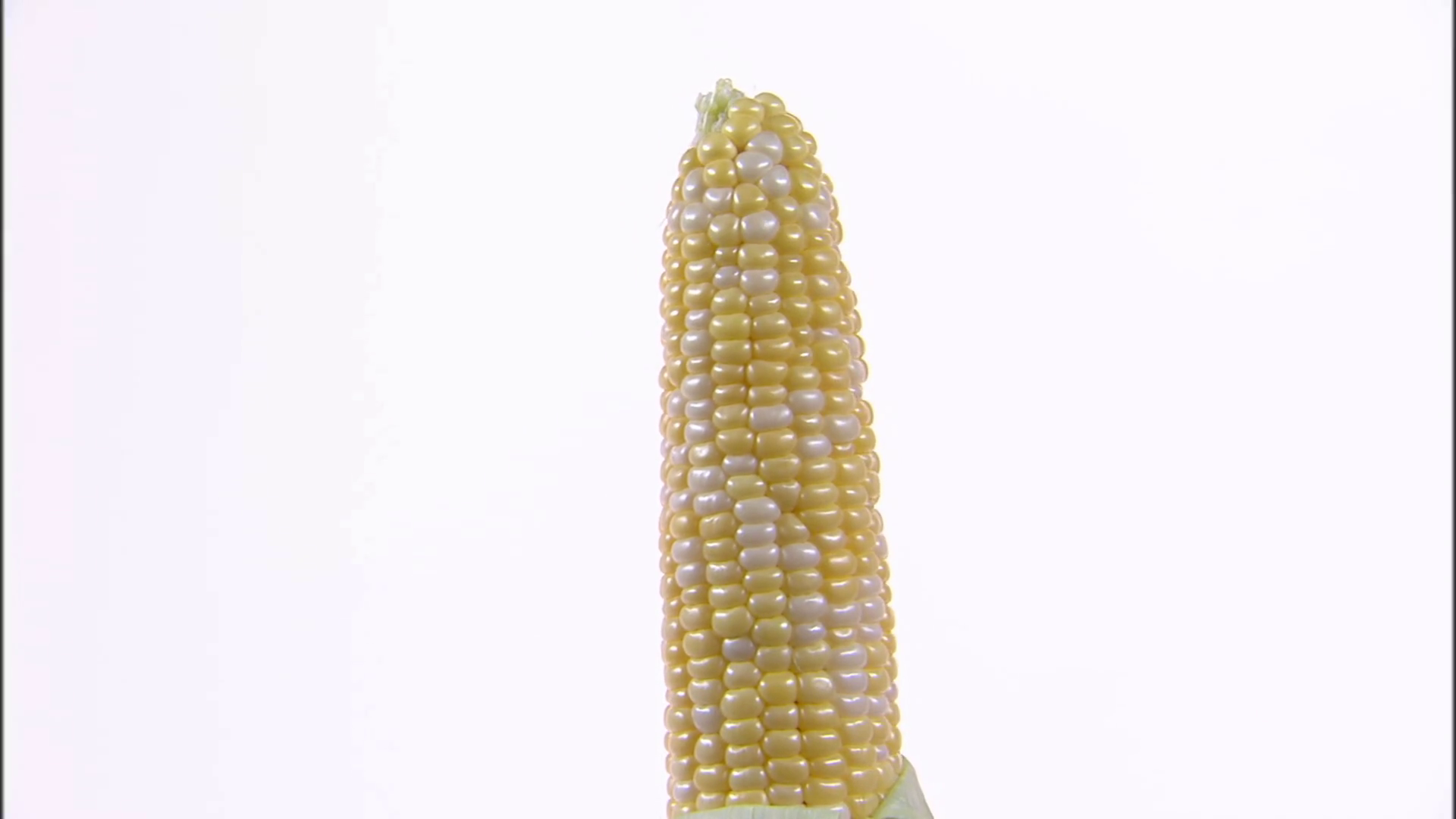Zoom In Of Corn On Cob Rotating On White Stock Footage SBV-300065865 ...