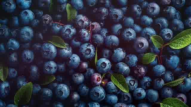 Food Wallpaper Stock Footage: Royalty-Free Video Clips - Storyblocks