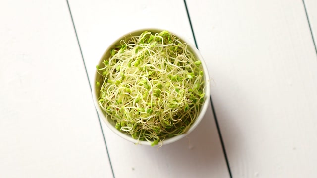 Broccoli Sprouts Stock Footage: Royalty-Free Video Clips - Storyblocks