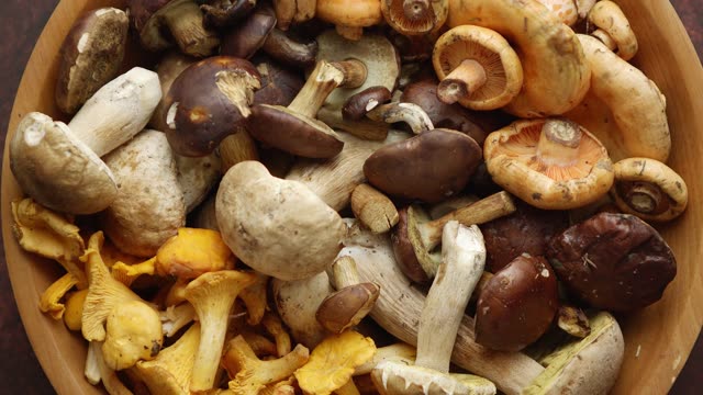 Eating Mushrooms Stock Footage: Royalty-Free Video Clips - Storyblocks