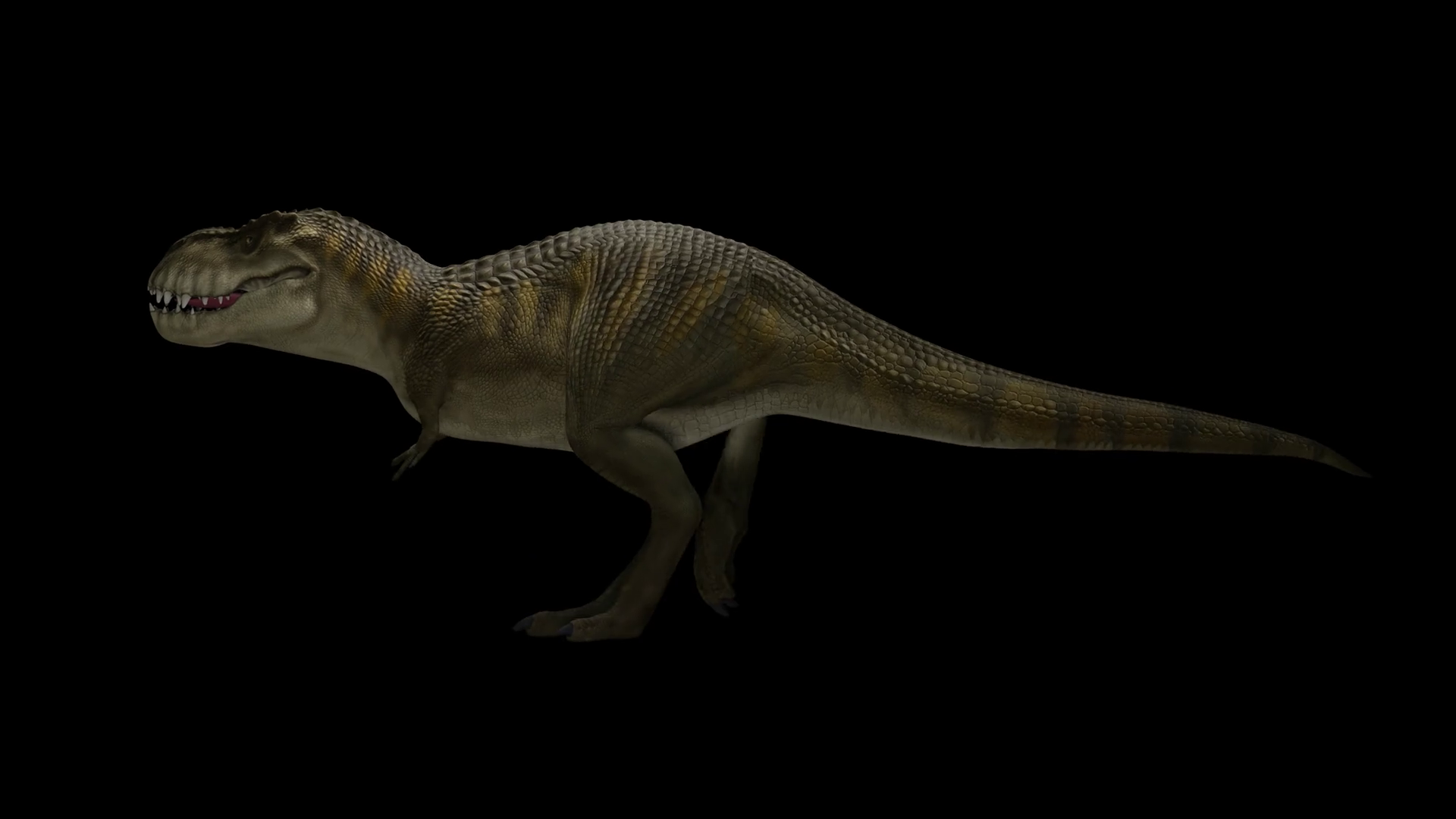 A Walking T-rex Dinosaur Walking Against Stock Footage SBV-348439882 ...