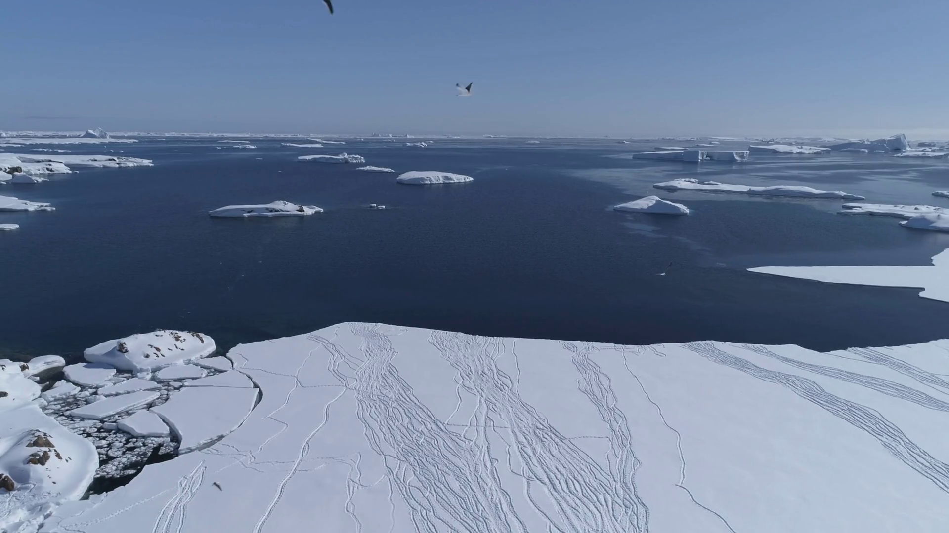 Aerial Drone Flight Over Antarctica Snow Stock Footage SBV-348389899 ...