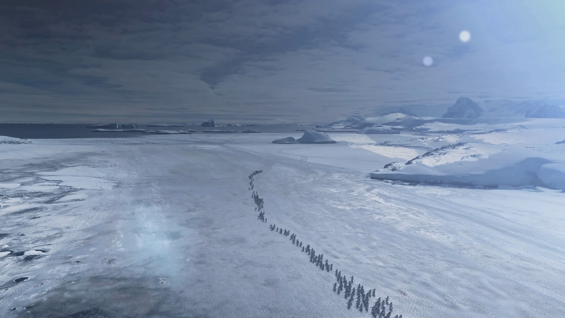 Aerial View Over Penguins Migration Colony Stock Footage SBV-348387132 ...