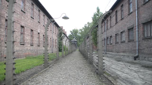 Auschwitz Concentration Camp Stock Footage: Royalty-Free Video Clips ...