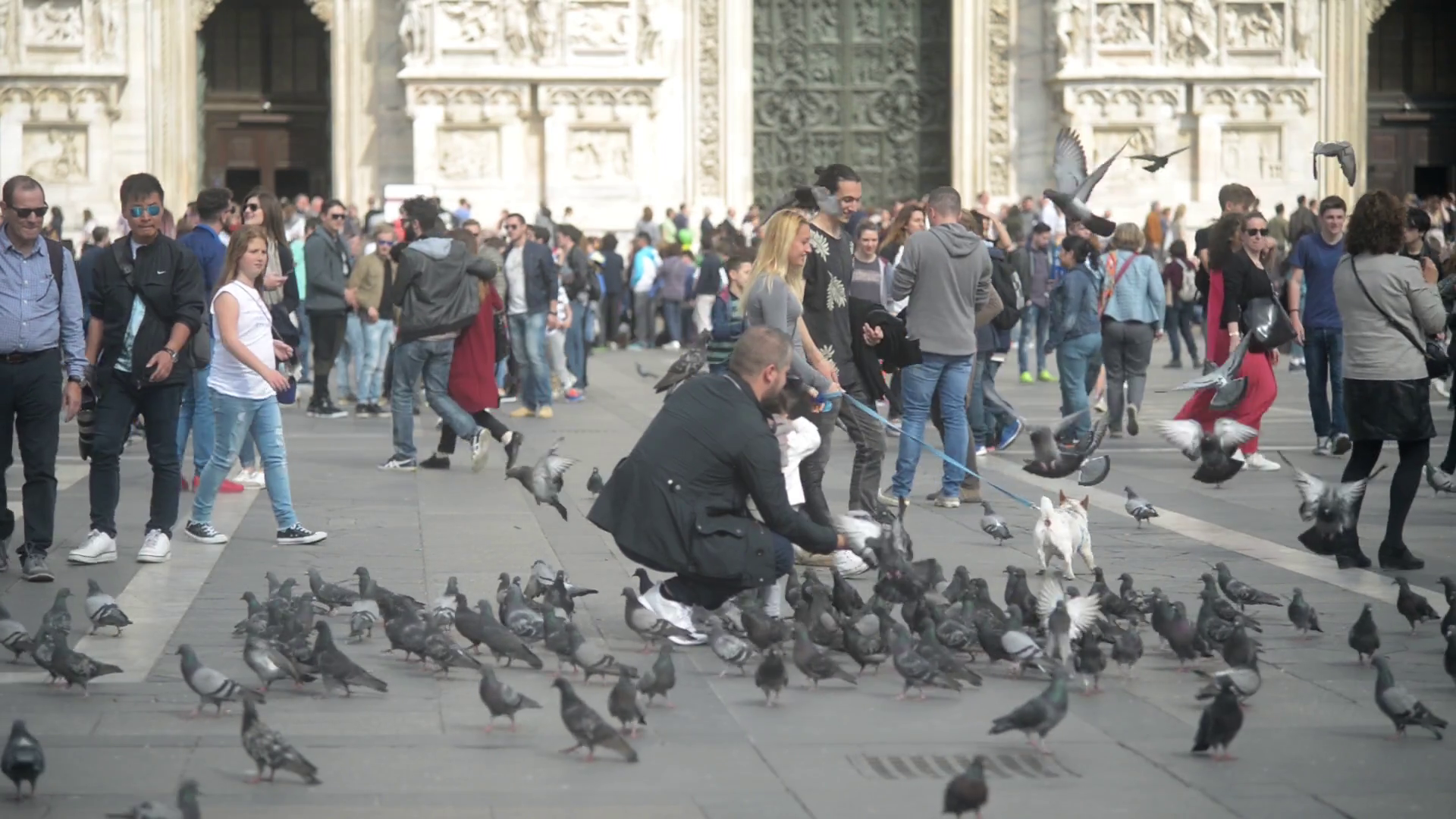 People Doves Pigeon People At Street Of Stock Footage SBV-310526382 ...