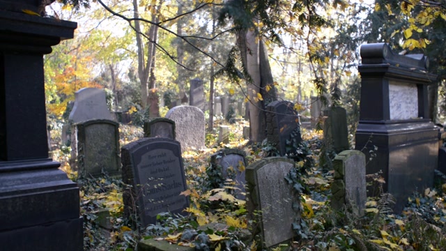 Grave Yard Stock Footage: Royalty-Free Video Clips - Storyblocks