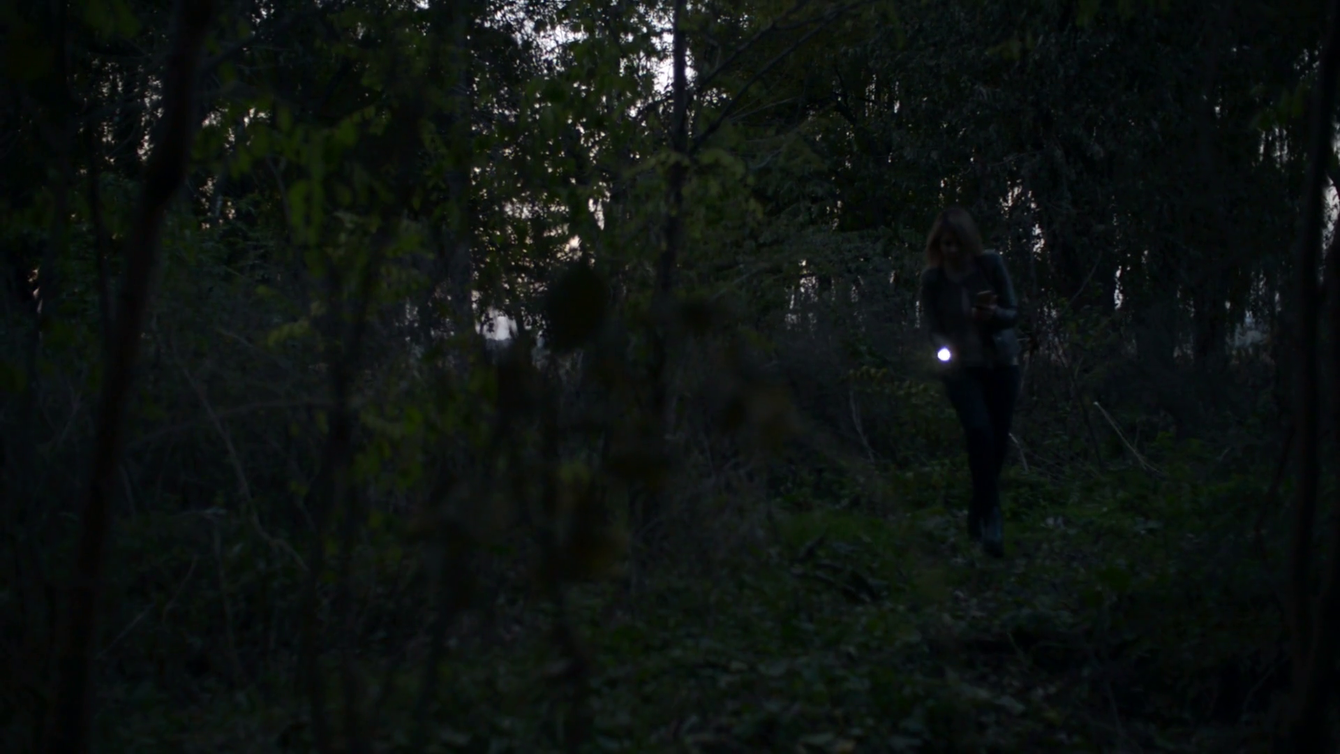 Woman With Flashlight In Woods Alone Night Stock Footage SBV-311783316 ...