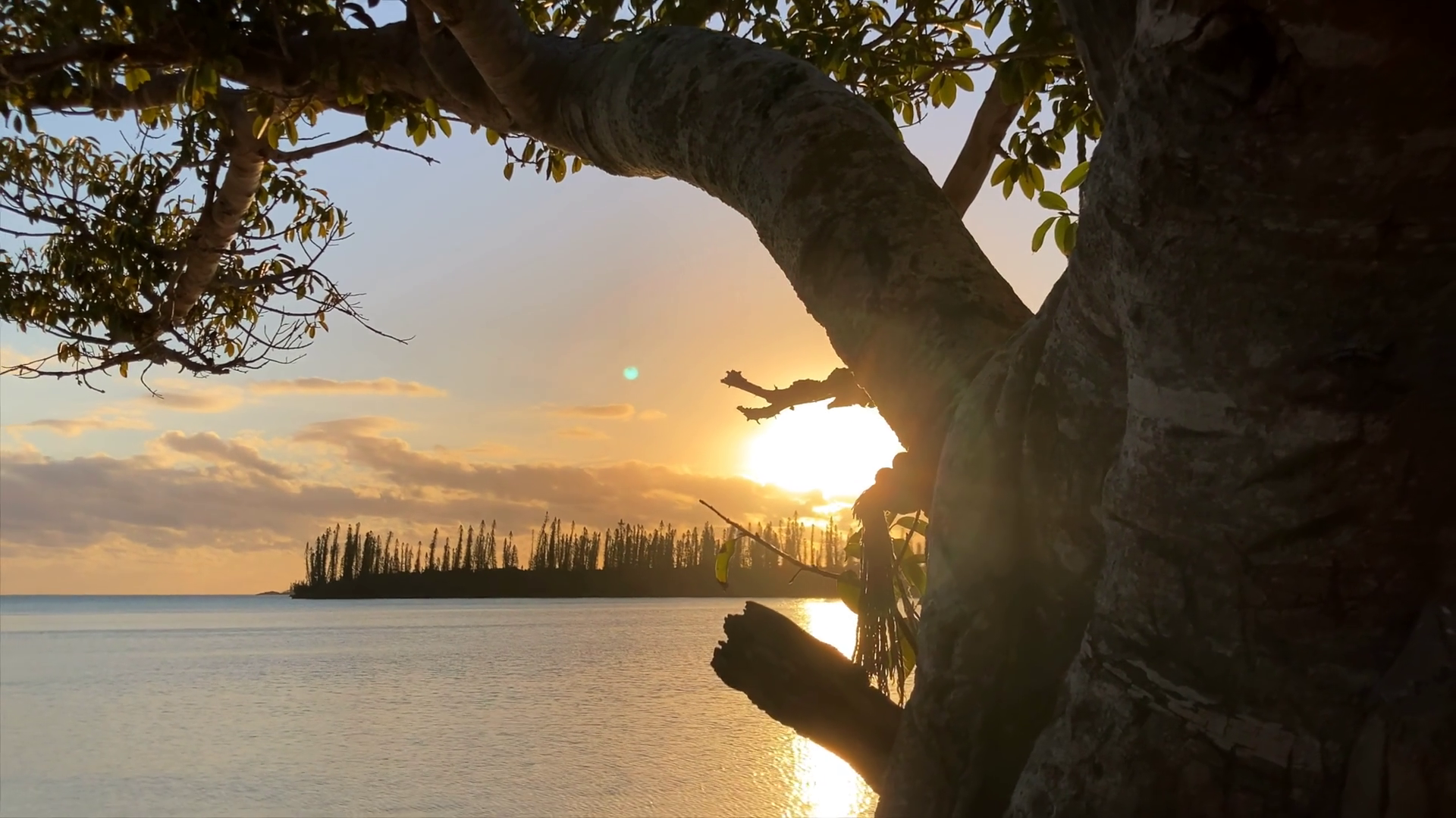 Slow Pan Revealing Sun Small Island Behind Stock Footage SBV-348562792 ...