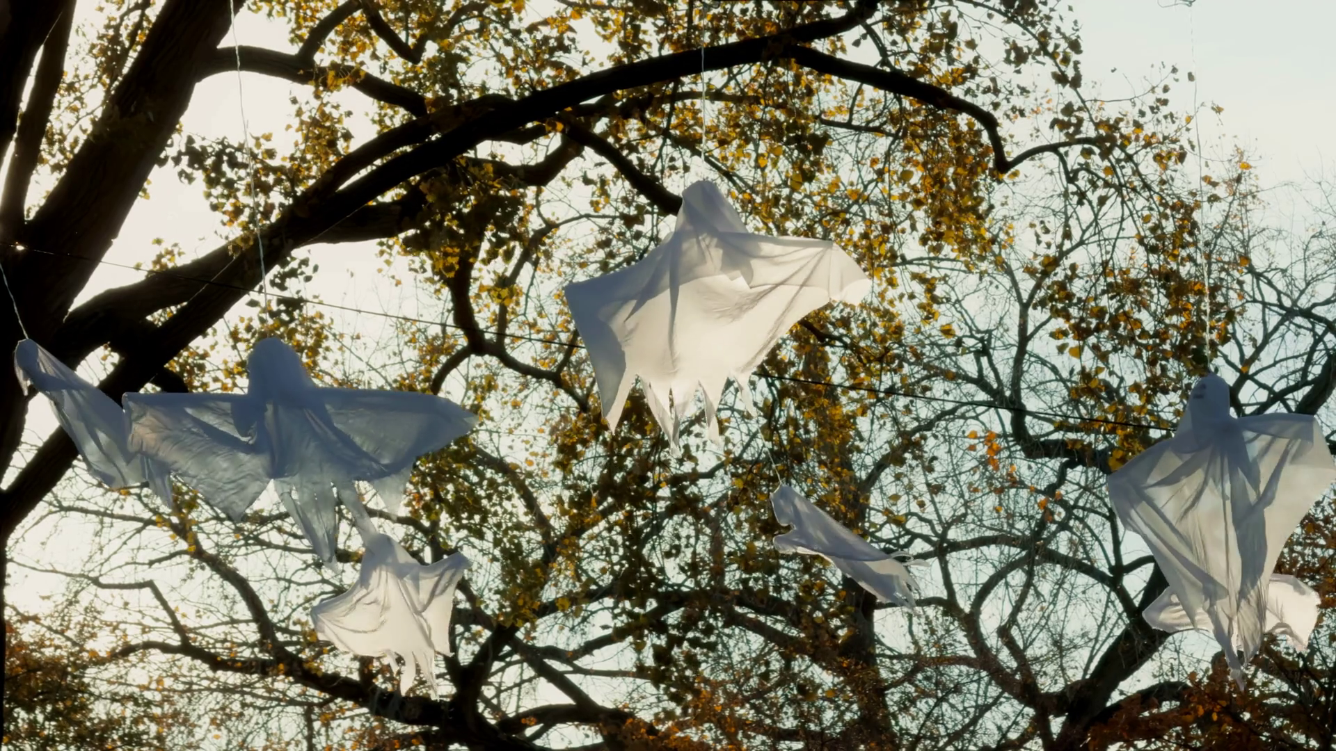 Halloween White Ghosts Decor Flying On Wind Stock Footage SBV-352158422 ...