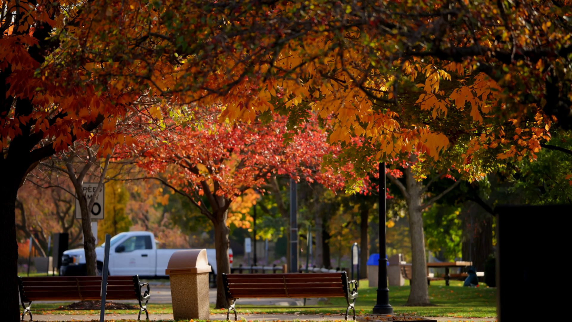 Autumn Leaves Are Falling On Benches At Stock Footage SBV-352230043 ...