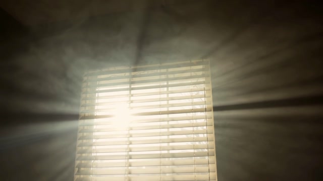 Indoor Daylight Stock Footage: Royalty-Free Video Clips - Storyblocks