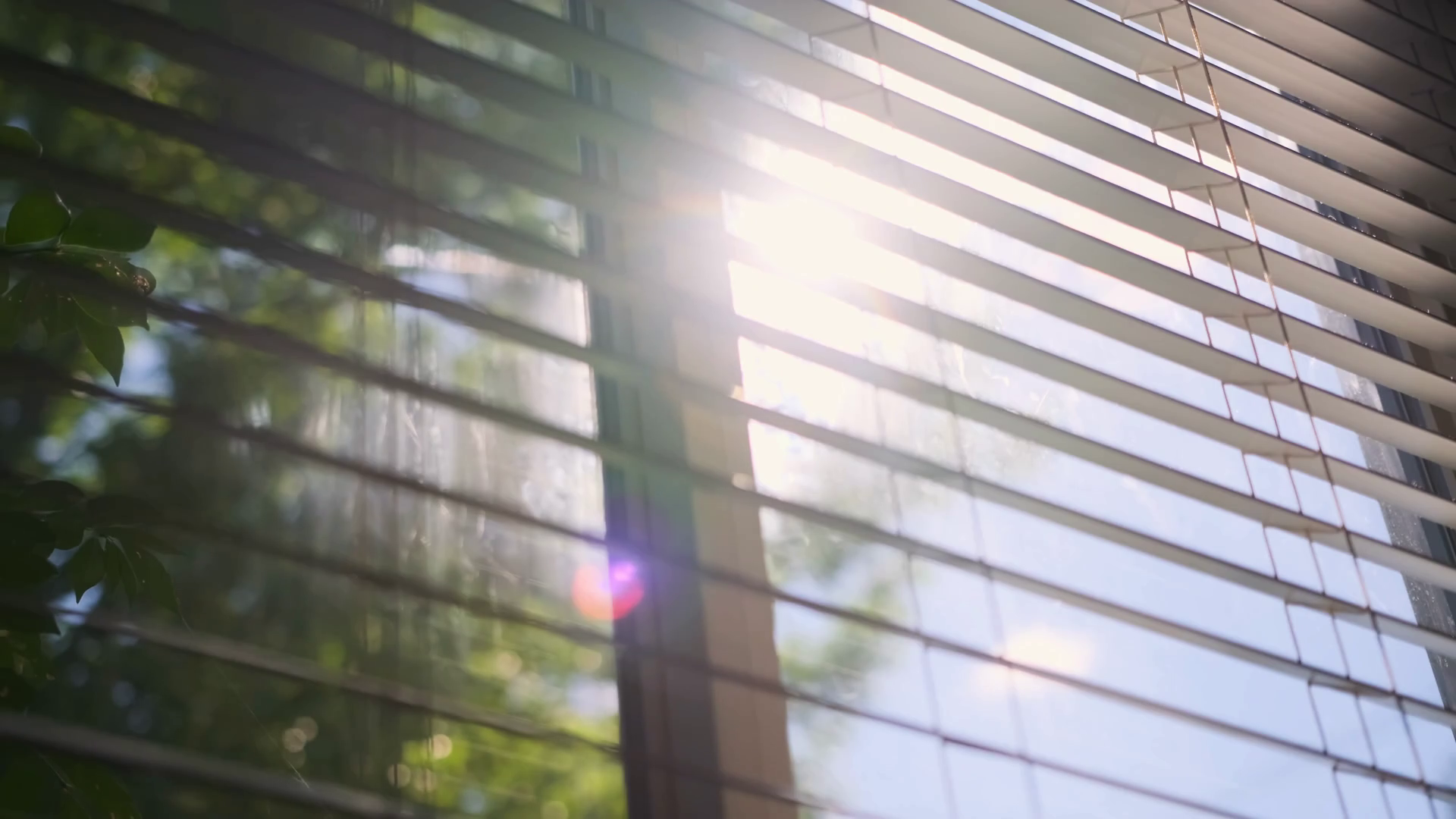 Close up view of Sun shining through window blinds close. Slow motion ...