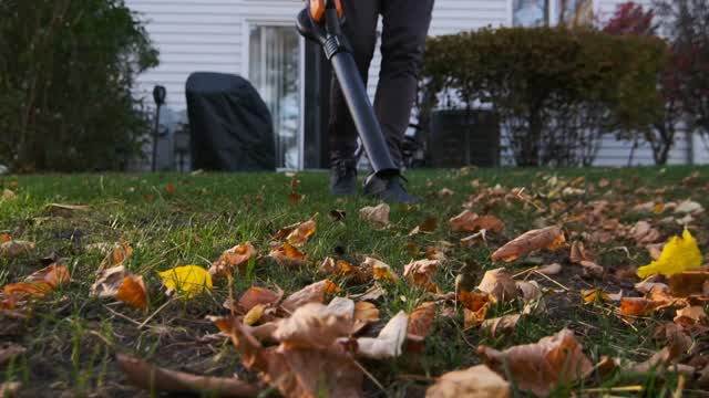 Leaf Blower Face Stock Footage: Royalty-Free Video Clips - Storyblocks