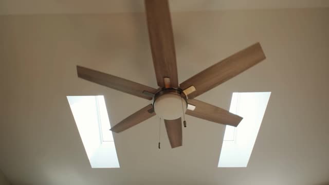 Fan Shape Stock Footage: Royalty-Free Video Clips - Storyblocks