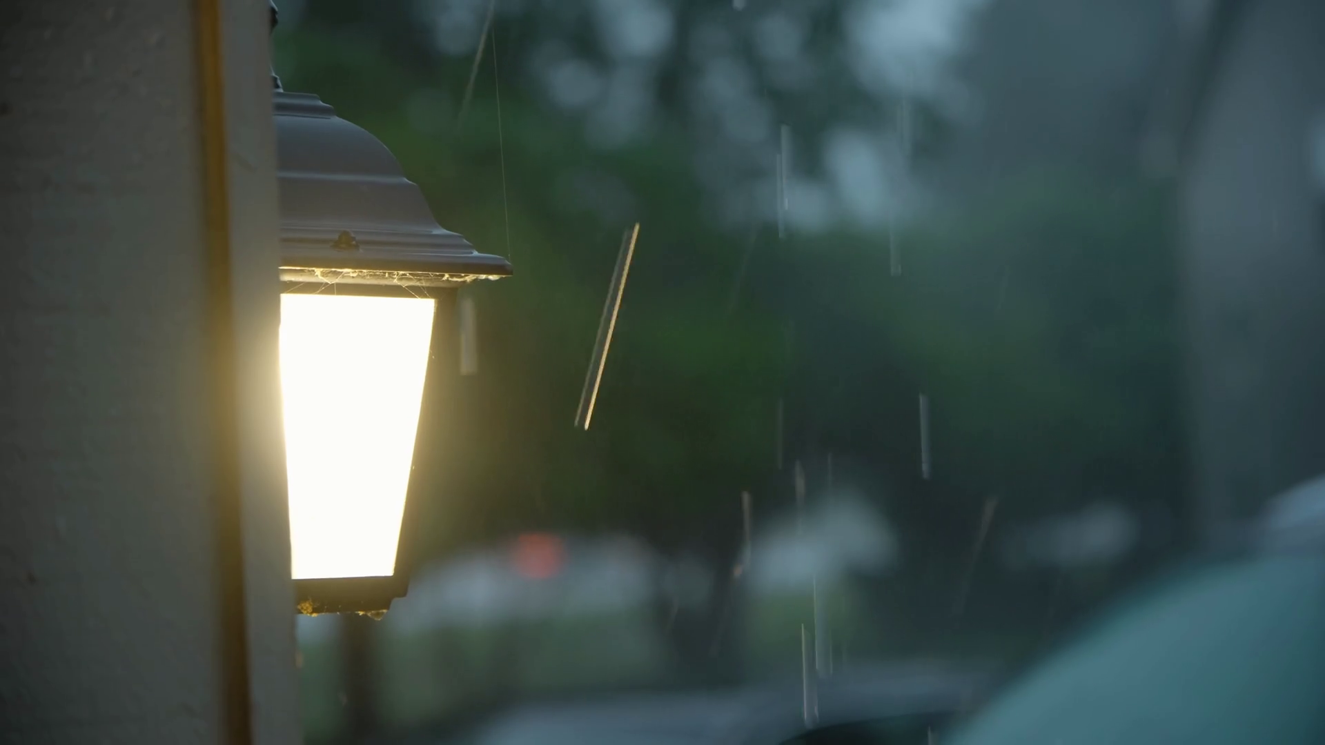 Heavy Rain Water Drops Storm Rain Falls On Stock Footage SBV-347803426 ...
