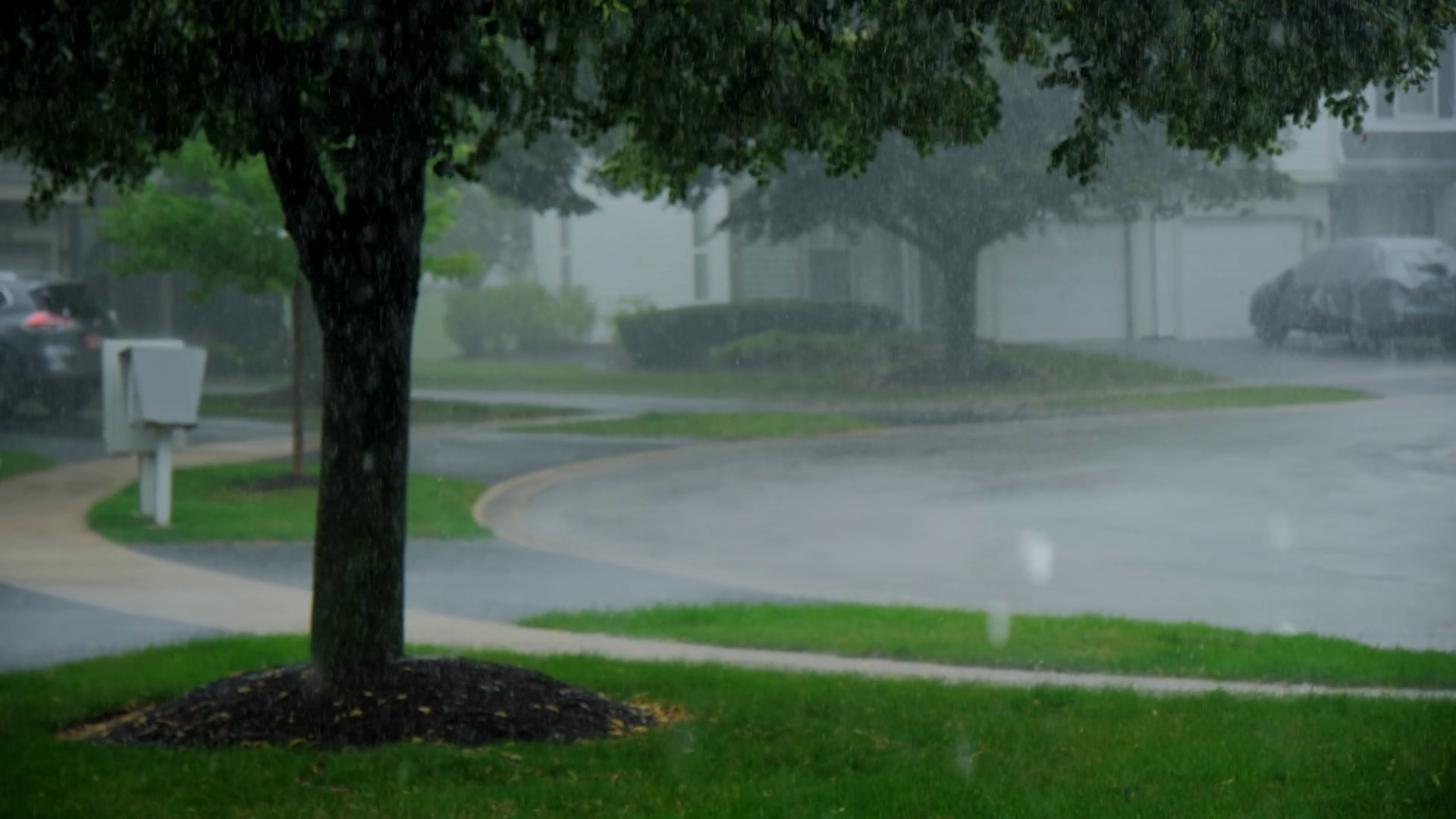 Heavy Rain Water Drops Falling Into Big Stock Footage SBV-348366633 ...
