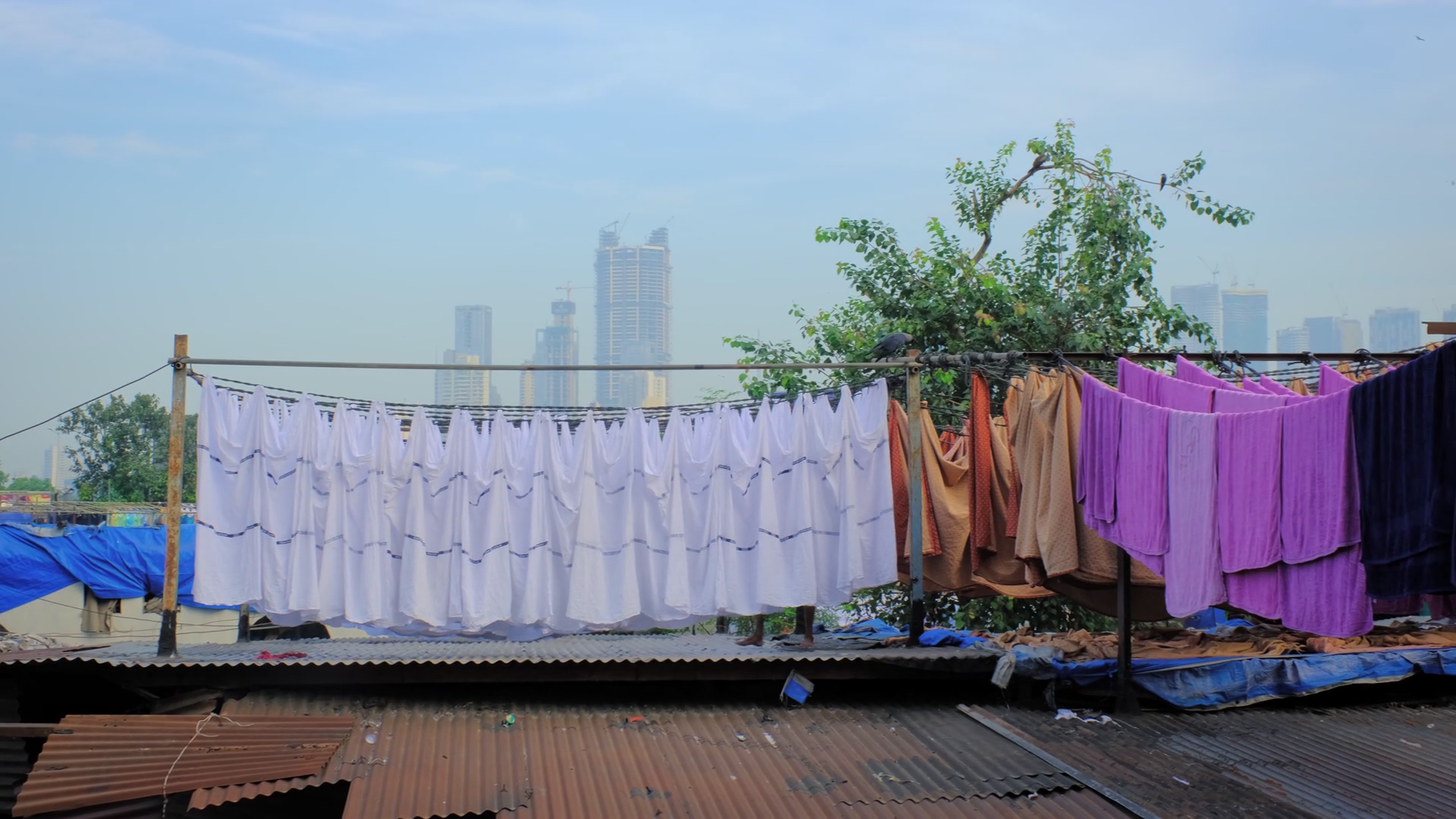 Dhobi Ghat - Huge Open Air Laundry With Stock Footage SBV-353160804 ...