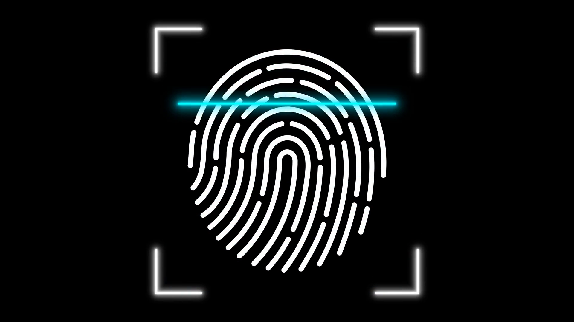 Finger Print Animation Scanner Fingerprint Stock Motion Graphics SBV ...
