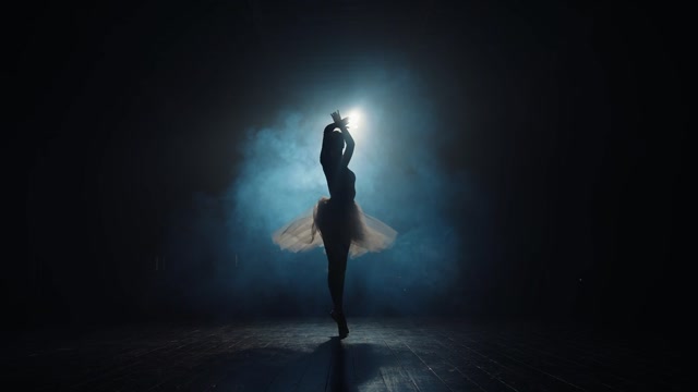 Ballerina Silhouette Stock Footage: Royalty-Free Video Clips - Storyblocks