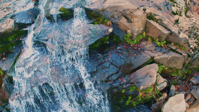 Freshwater Stream Stock Footage: Royalty-Free Video Clips - Storyblocks