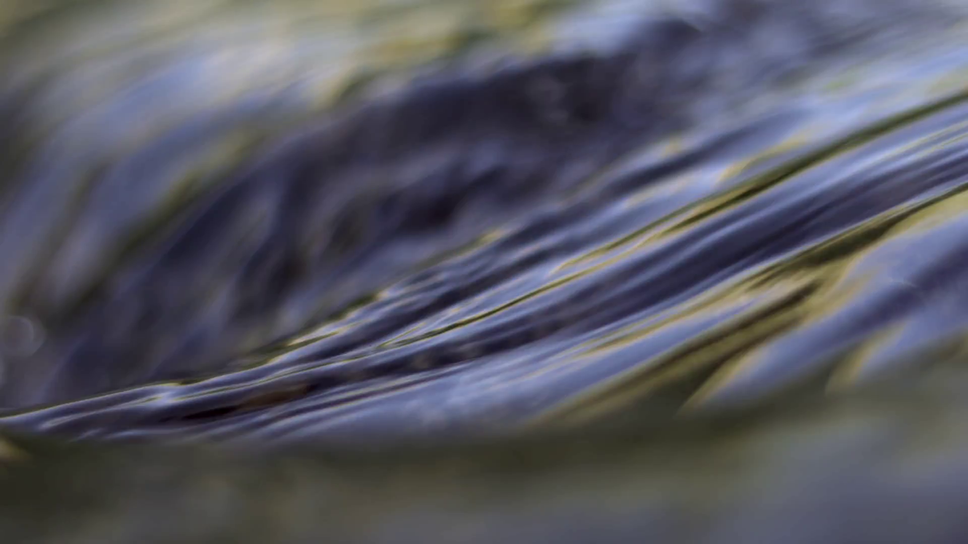 Curved Stream Traces On Water Surface Of Stock Footage SBV-347538912 ...