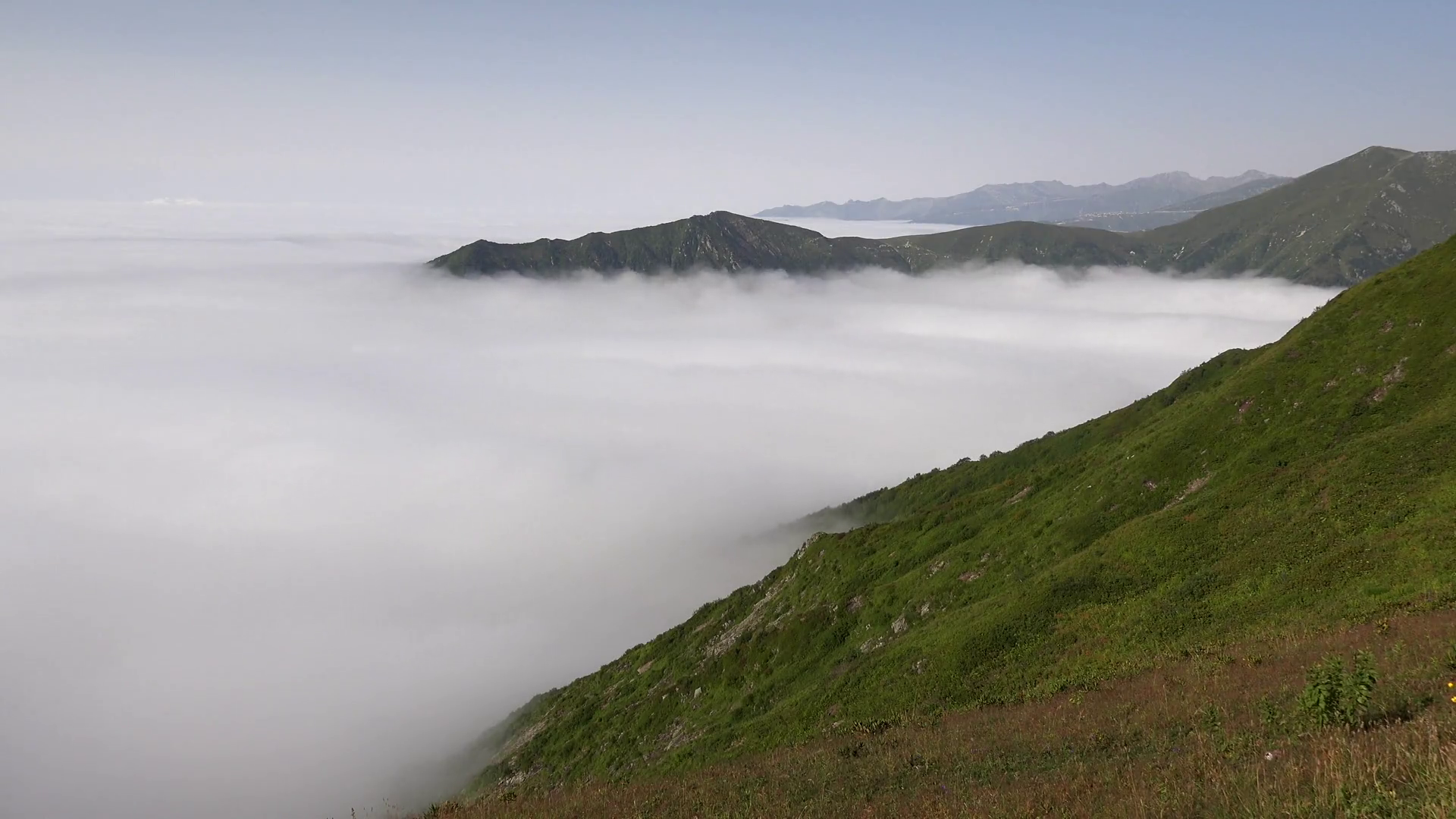 Grasslands In Treeless High Altitude Meadows Stock Footage SBV ...