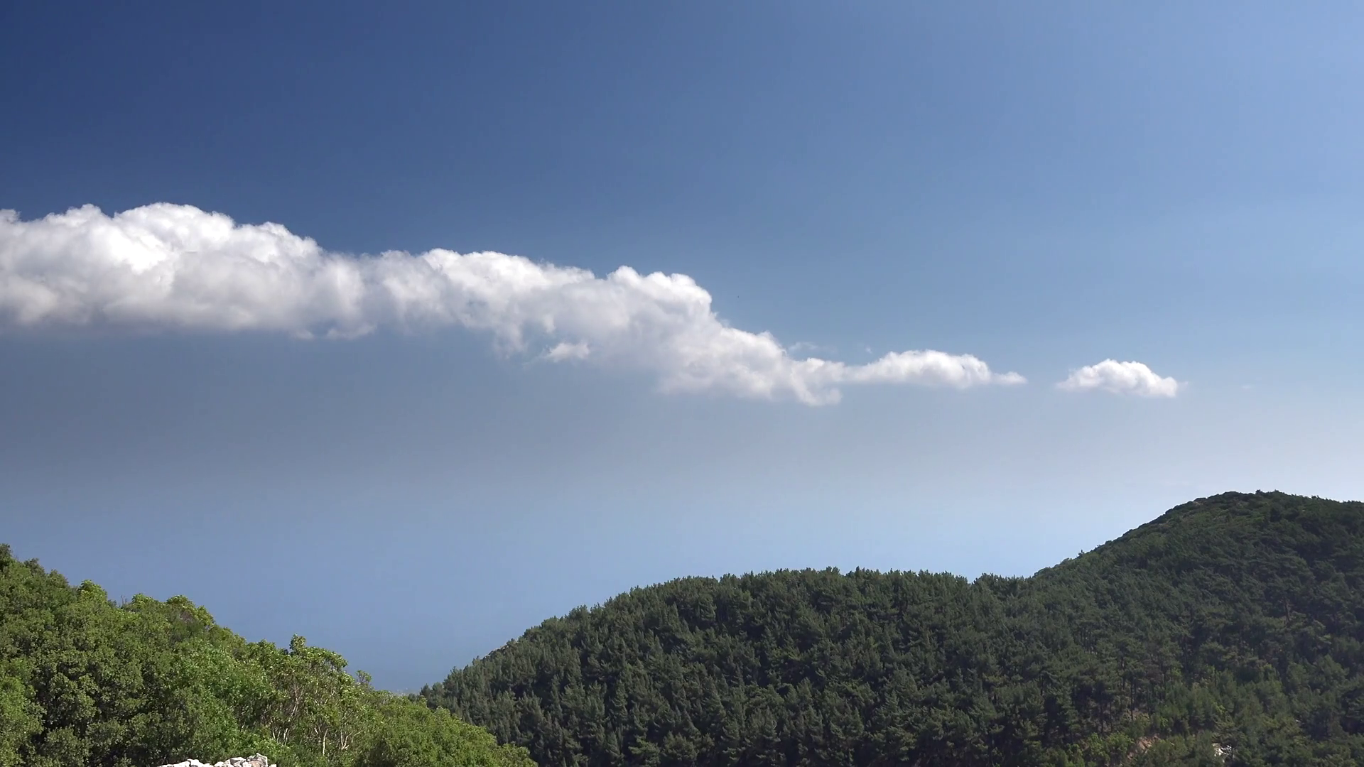 Excessively Humid Damp Air In Dry Forest Stock Footage SBV-347081304 ...