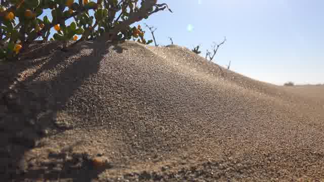Drift Sand Stock Footage: Royalty-Free Video Clips - Storyblocks