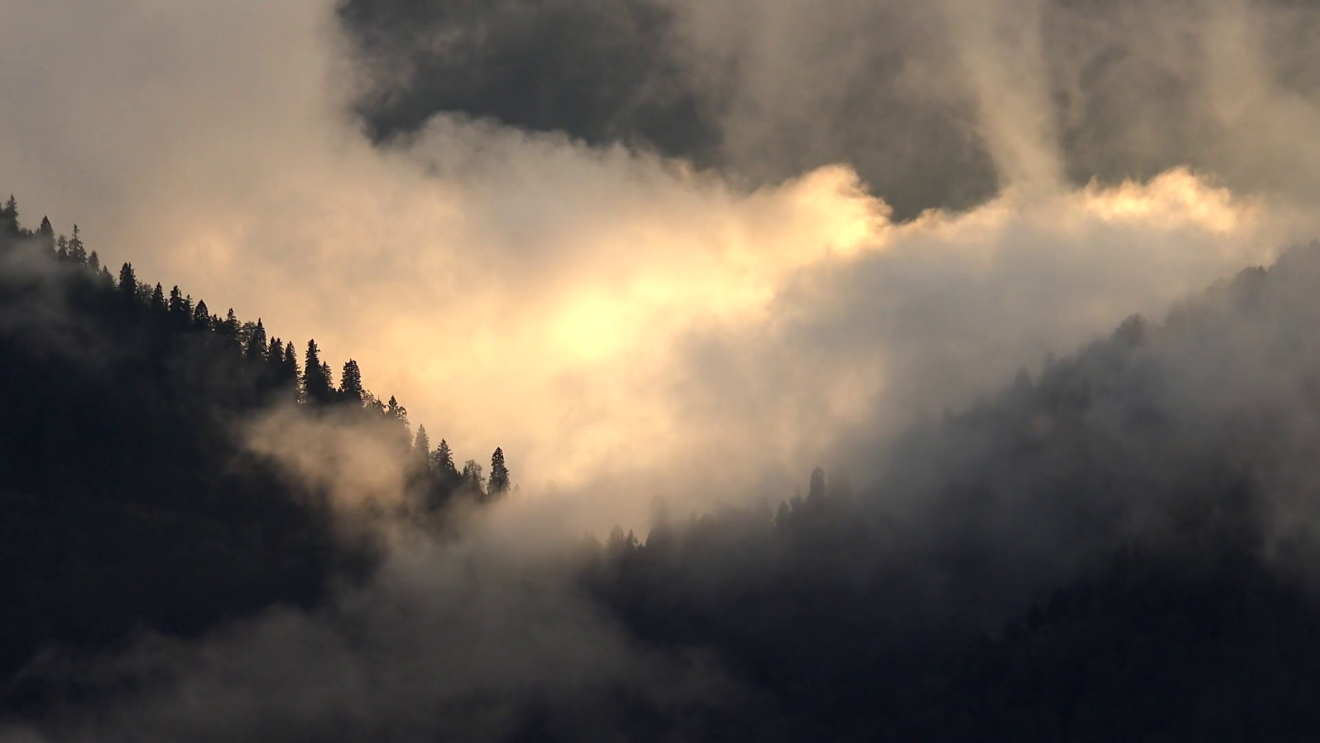 Red Smoke In Forest Fire Stock Footage SBV-347062762 - Storyblocks